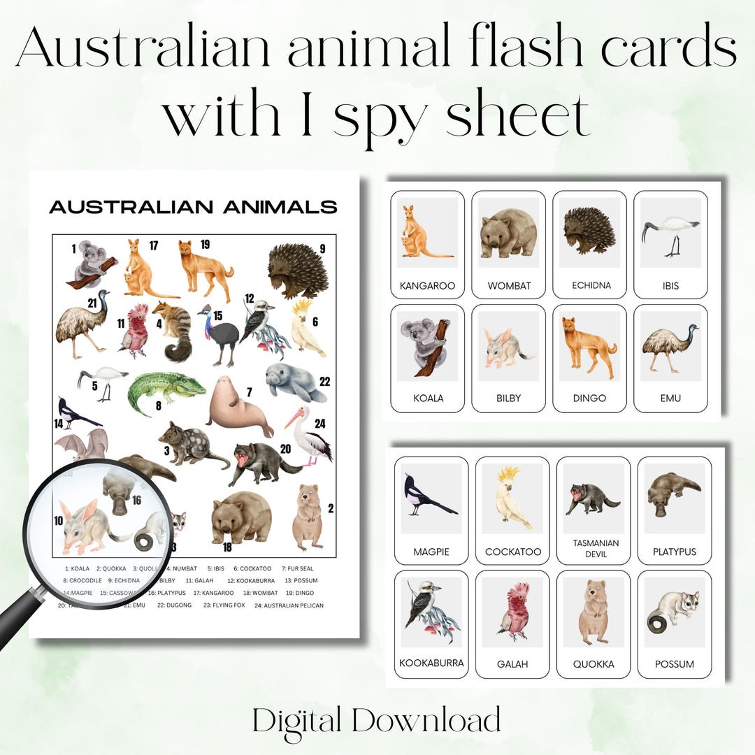 Australian Animals Flash Cards, I Spy Game (digital Download) - Etsy