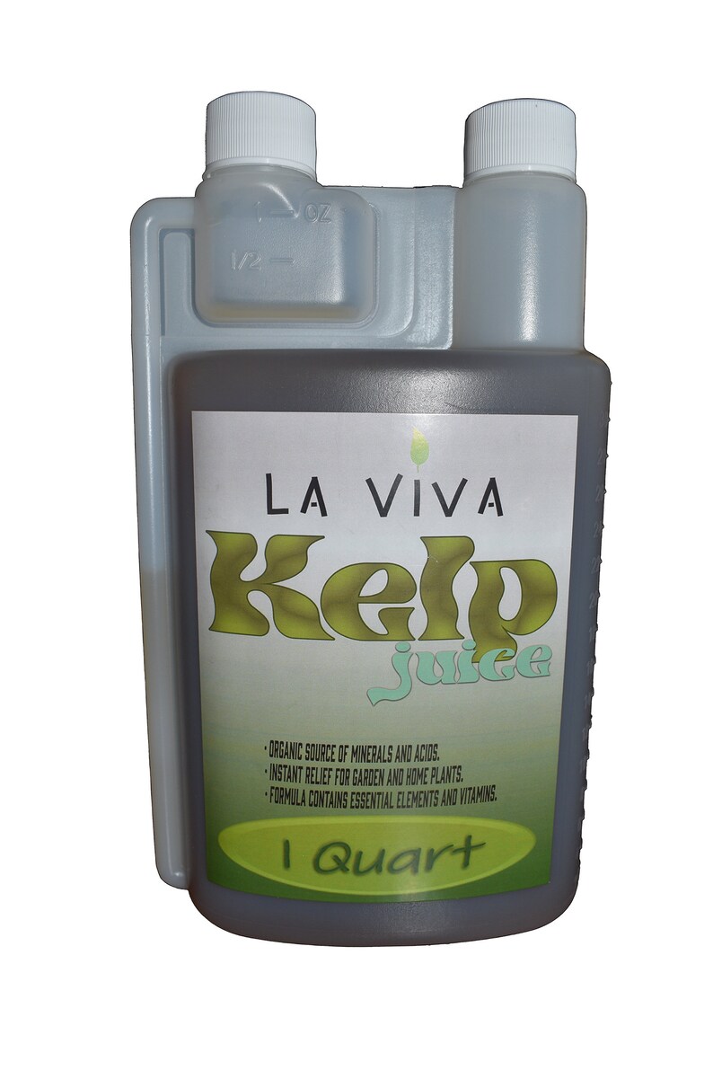 La Viva Kelp Juice 1 Quart - Etsy