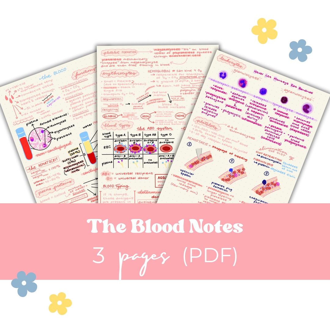 Cardiovascular System Notes | Cardiovascular System Nursing ...