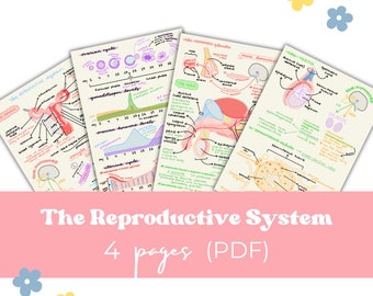 Endocrine System Notes | Endocrine System Nursing | Endocrine System ...