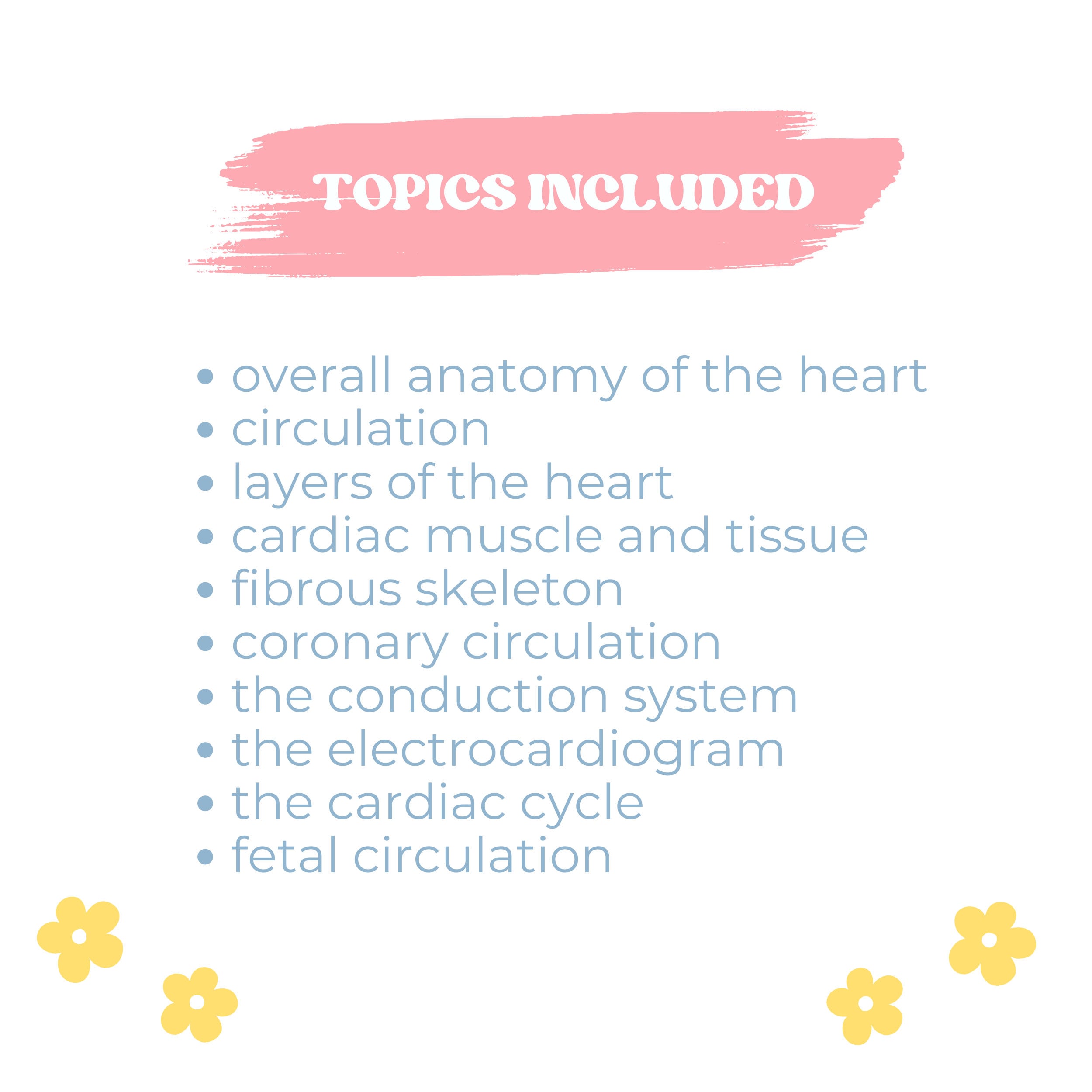 Cardiovascular System Notes | Cardiovascular System Nursing ...