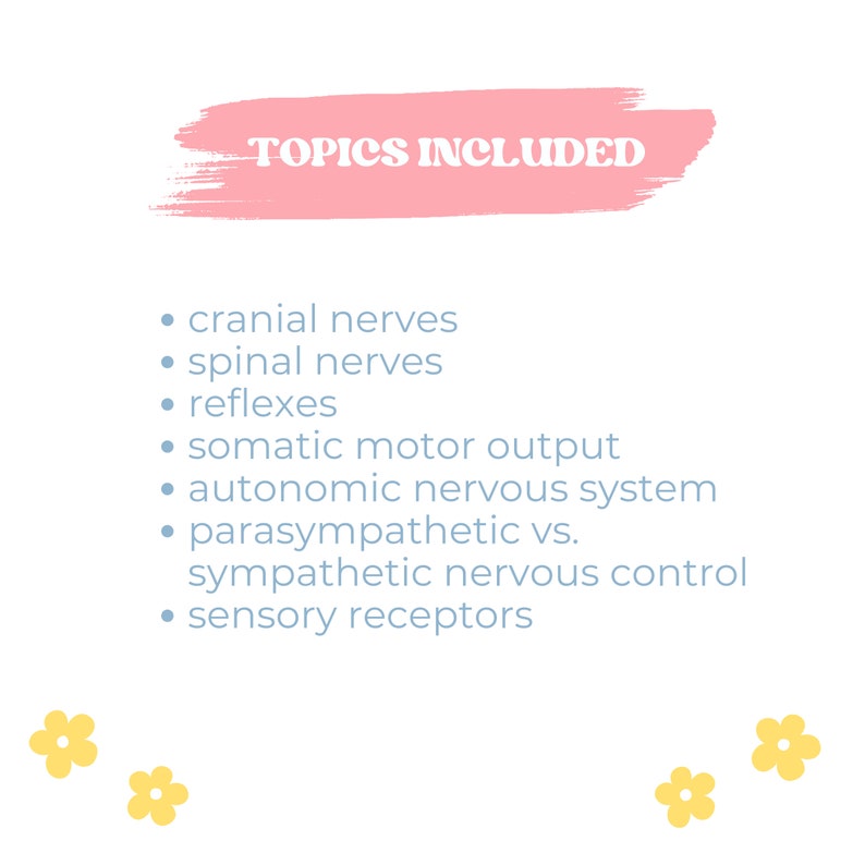 Nervous System Notes | Nervous System Regulation | Nervous System Study ...