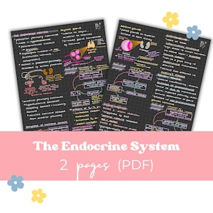 Endocrine System Notes | Endocrine System Nursing | Endocrine System ...