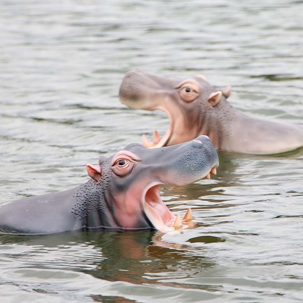 Hippo Garden Statue - Etsy