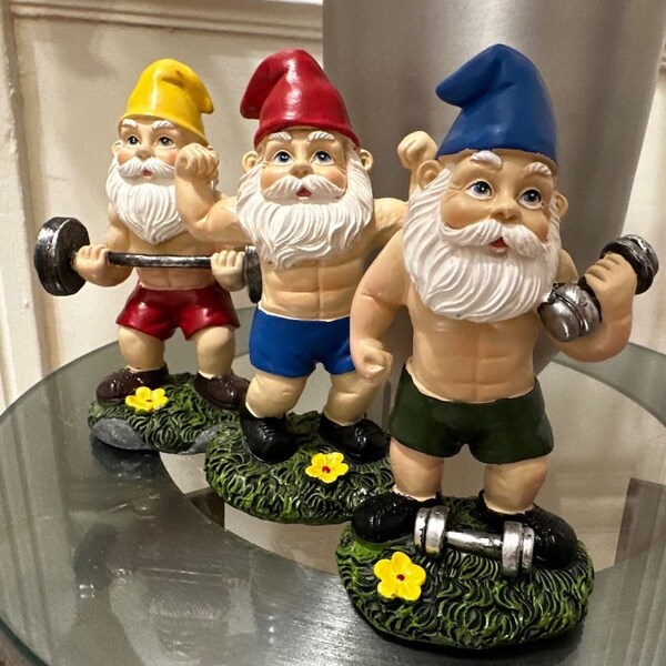 Muscular Gnome - Etsy