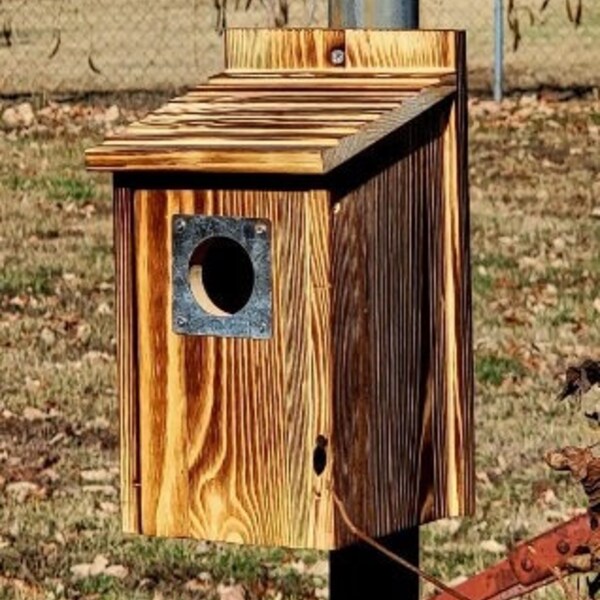 Bird House Predator Guard - Etsy