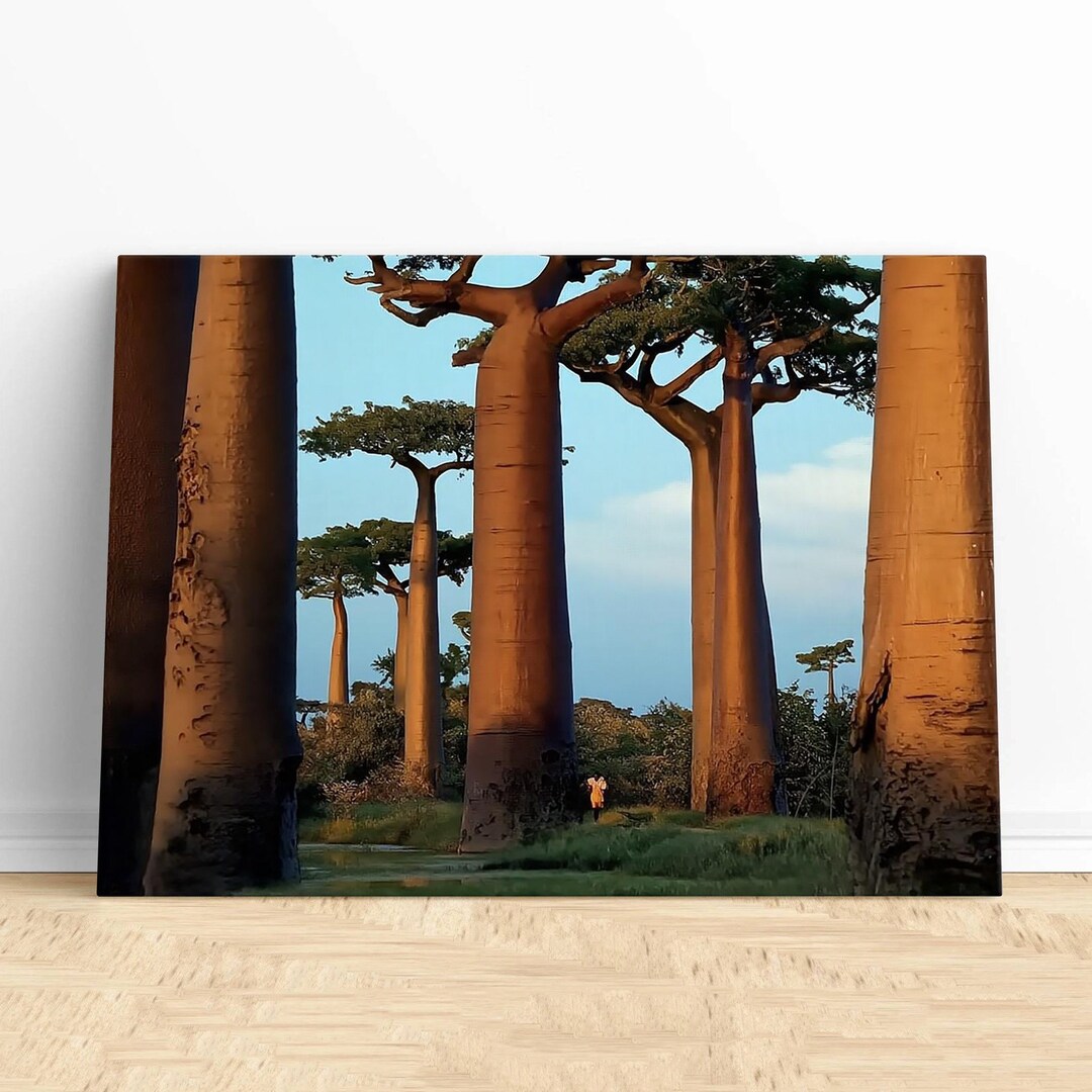 Cute Baobab Tree Canvas Wall Artbeauty of Africaexotic - Etsy