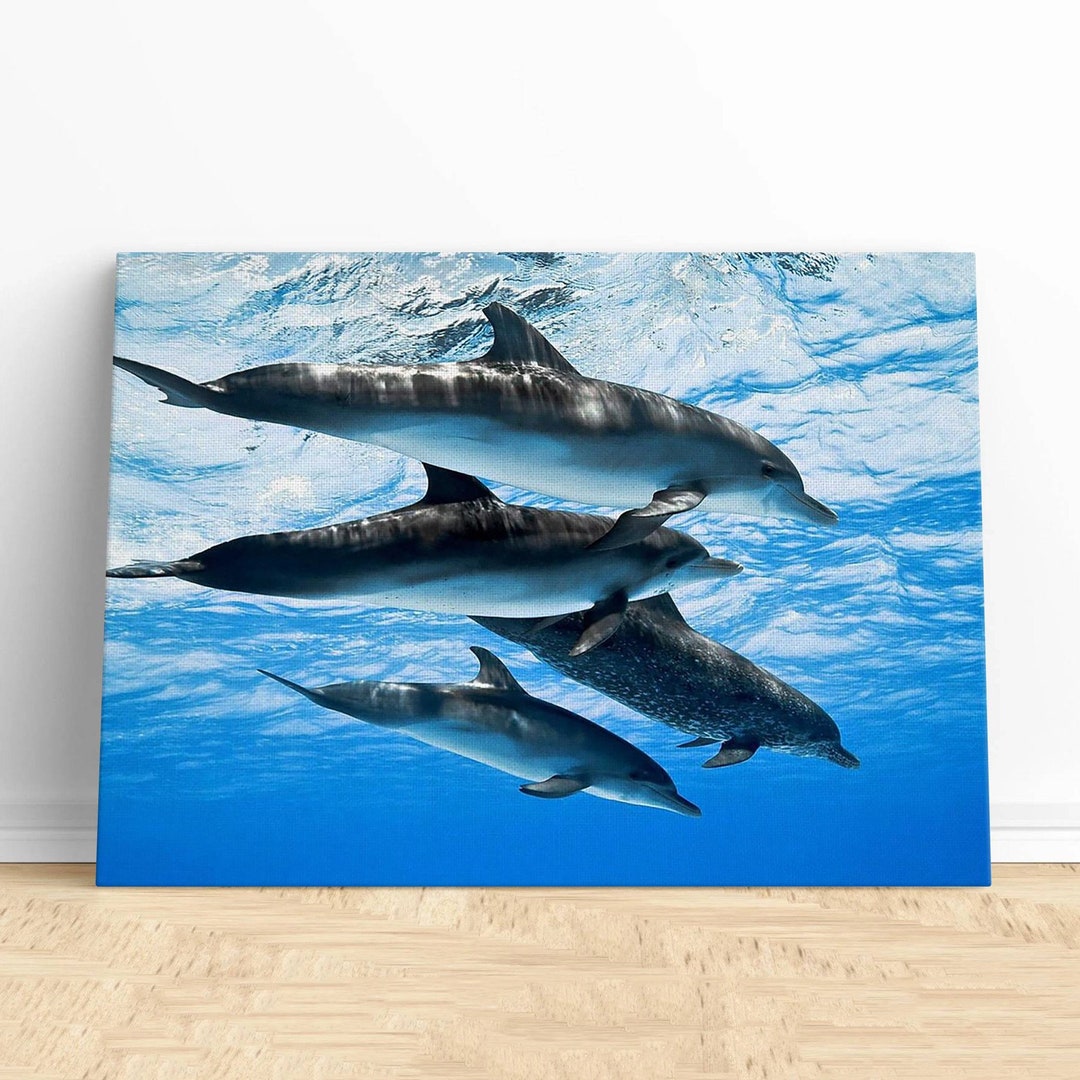 Dolphin Flocks Underwater Canvas Wall.ocean Painting.marine Life ...
