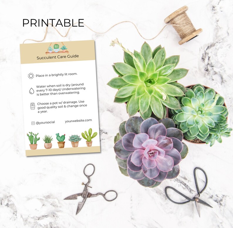 Editable Succulent Care Guide Template, Plant Care Cards Tag Printable ...
