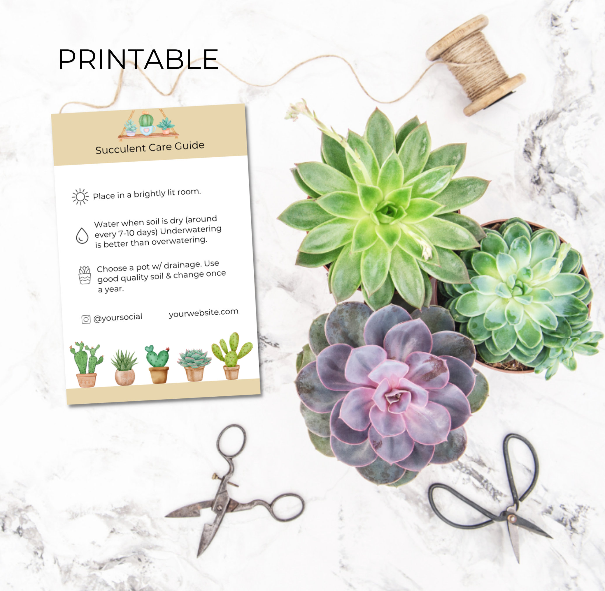 Editable Succulent Care Guide Template, Plant Care Cards Tag Printable ...