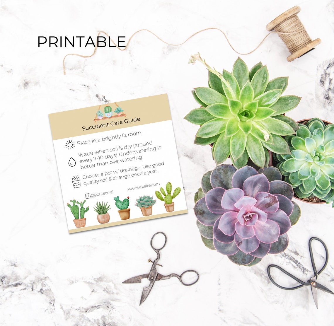 Editable Succulent Care Guide Template, Plant Care Cards Tag Printable ...