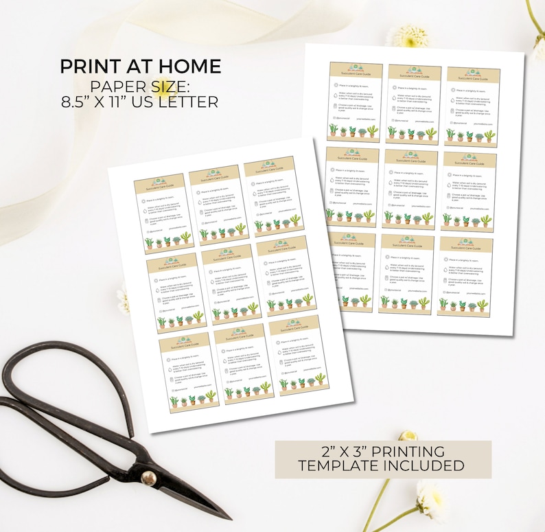 Editable Succulent Care Guide Template, Plant Care Cards Tag Printable ...