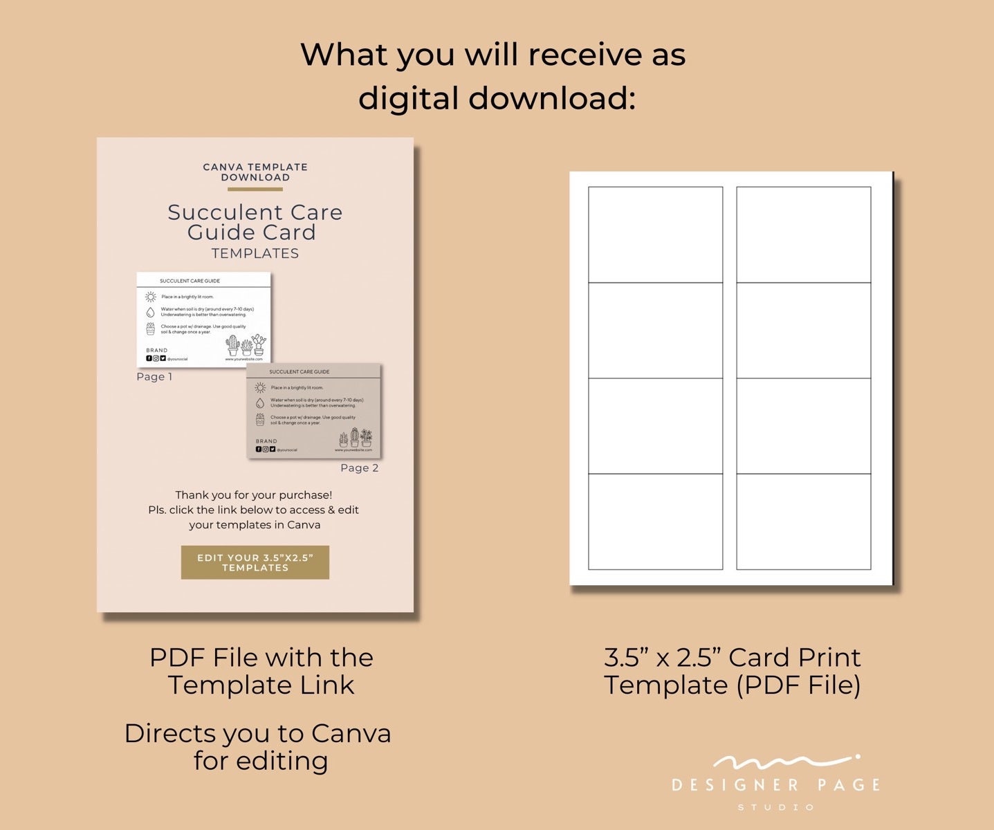 Editable Succulent Care Guide Template Canva, Printable Plants Care ...