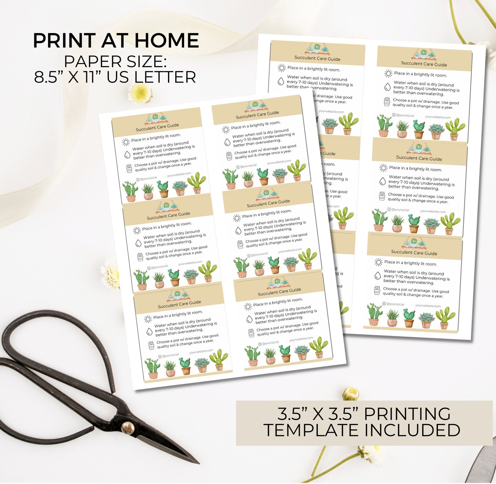 Editable Succulent Care Guide Template, Plant Care Cards Tag Printable ...