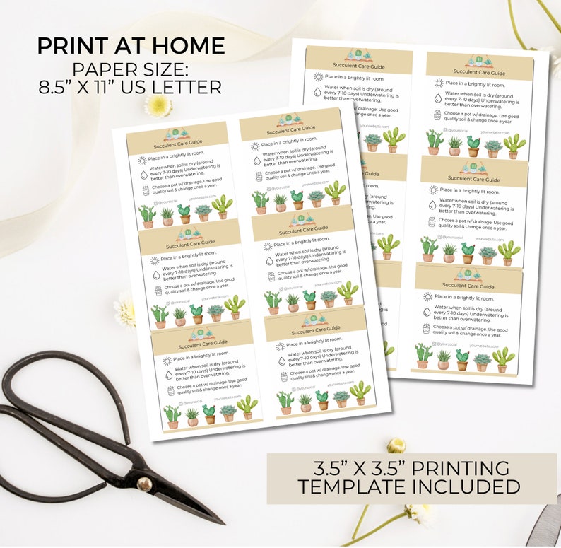 Editable Succulent Care Guide Template, Plant Care Cards Tag Printable ...