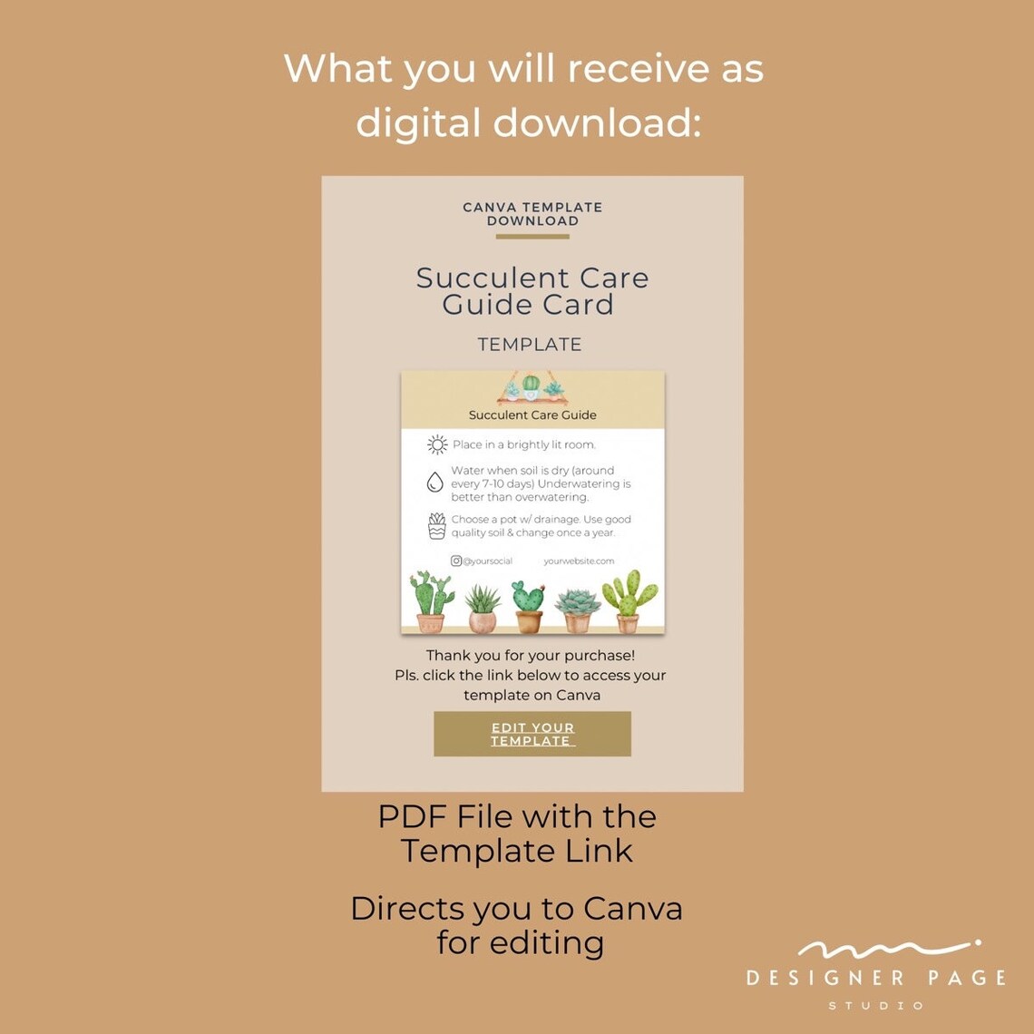 Editable Succulent Care Guide Template Plant Care Cards Tag - Etsy