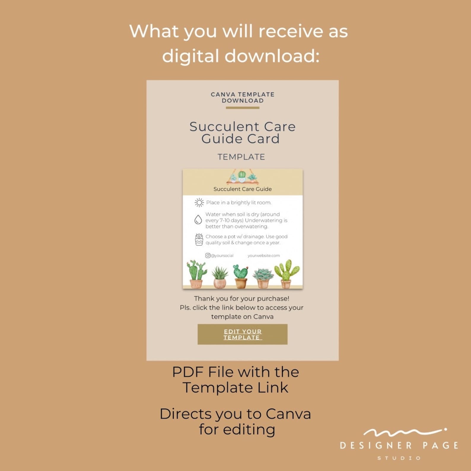 Editable Succulent Care Guide Template Plant Care Cards Tag - Etsy