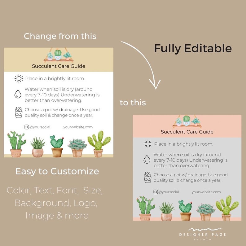 Editable Succulent Care Guide Template Plant Care Cards Tag - Etsy