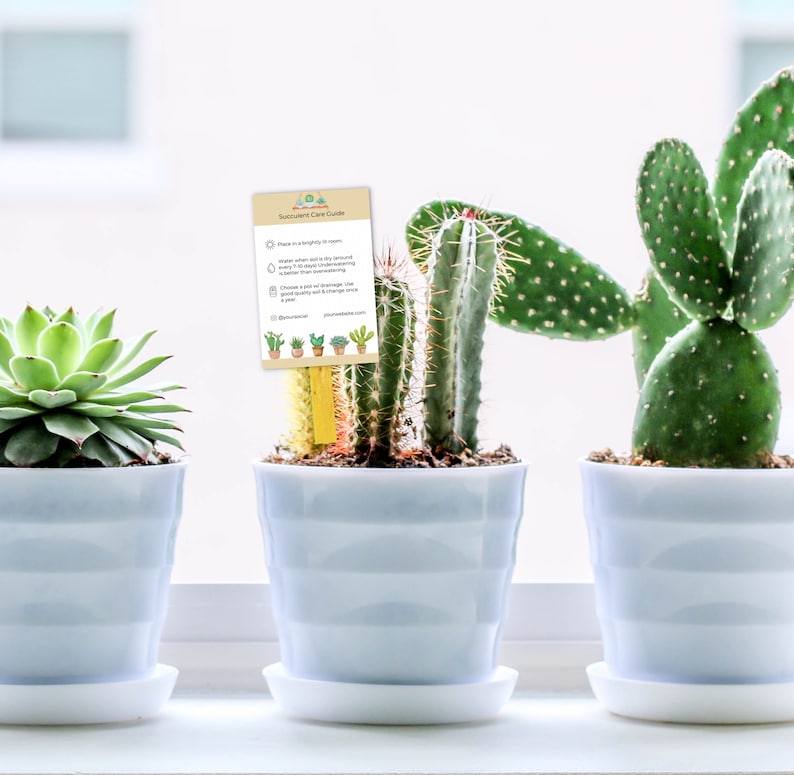 Editable Succulent Care Guide Template, Plant Care Cards Tag Printable ...