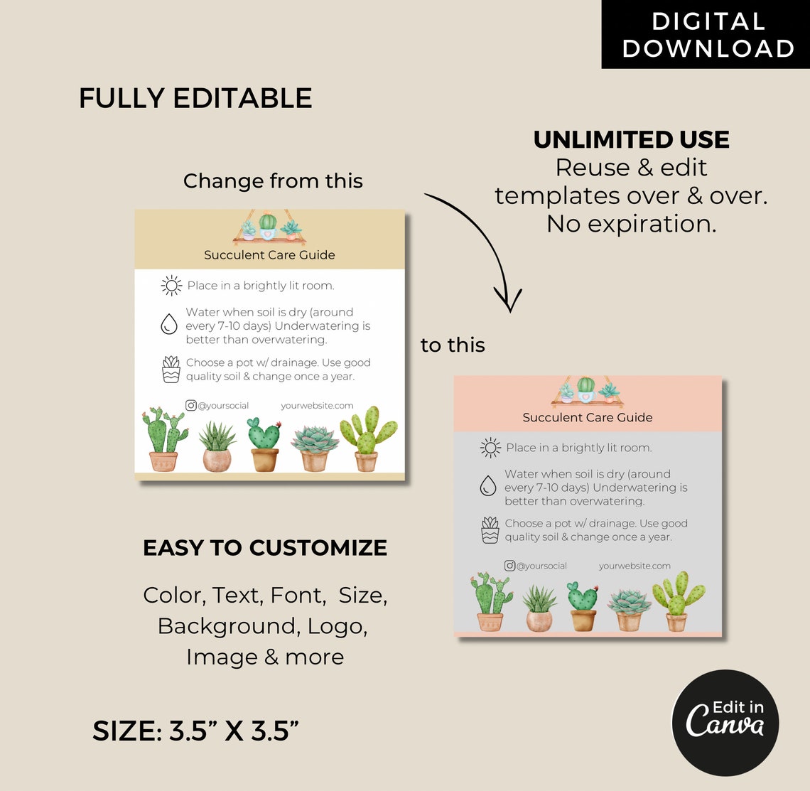 Editable Succulent Care Guide Template, Plant Care Cards Tag Printable ...