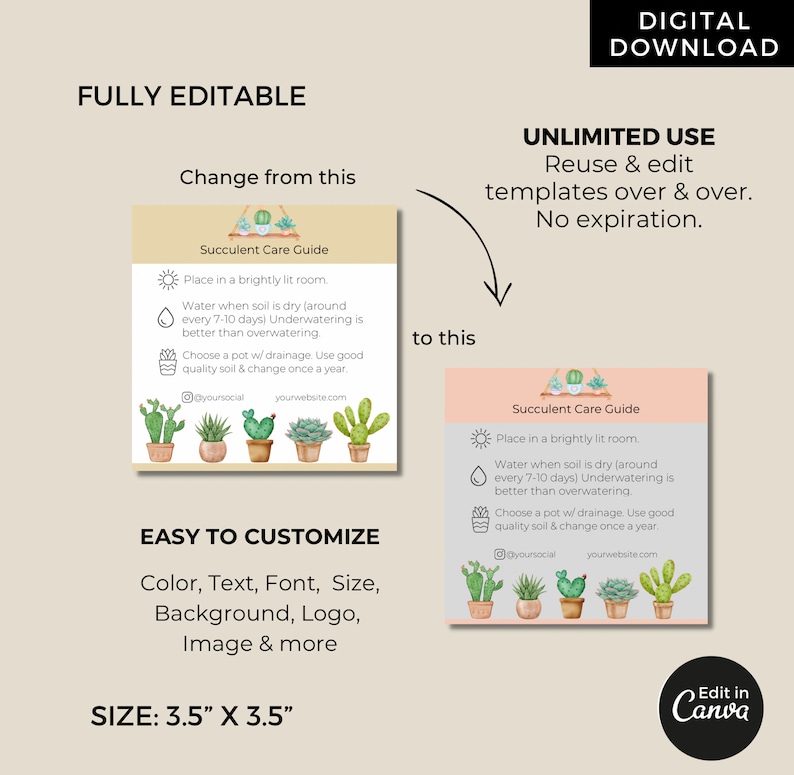 Editable Succulent Care Guide Template, Plant Care Cards Tag Printable ...