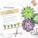 Editable Succulent Care Guide Template, Plant Care Cards Tag Printable ...