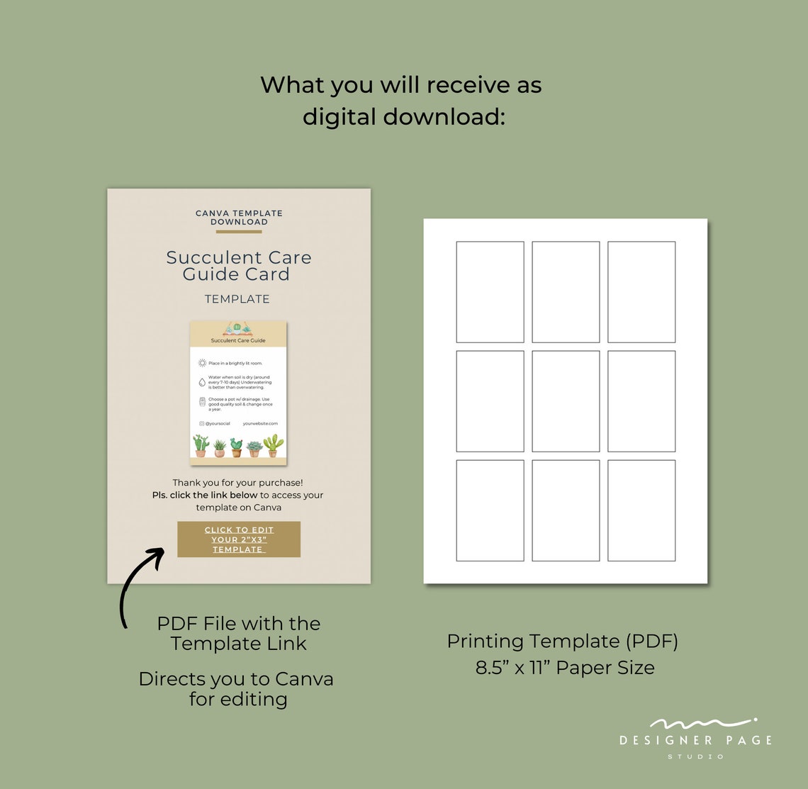 Editable Succulent Care Guide Template Plant Care Cards Tag - Etsy
