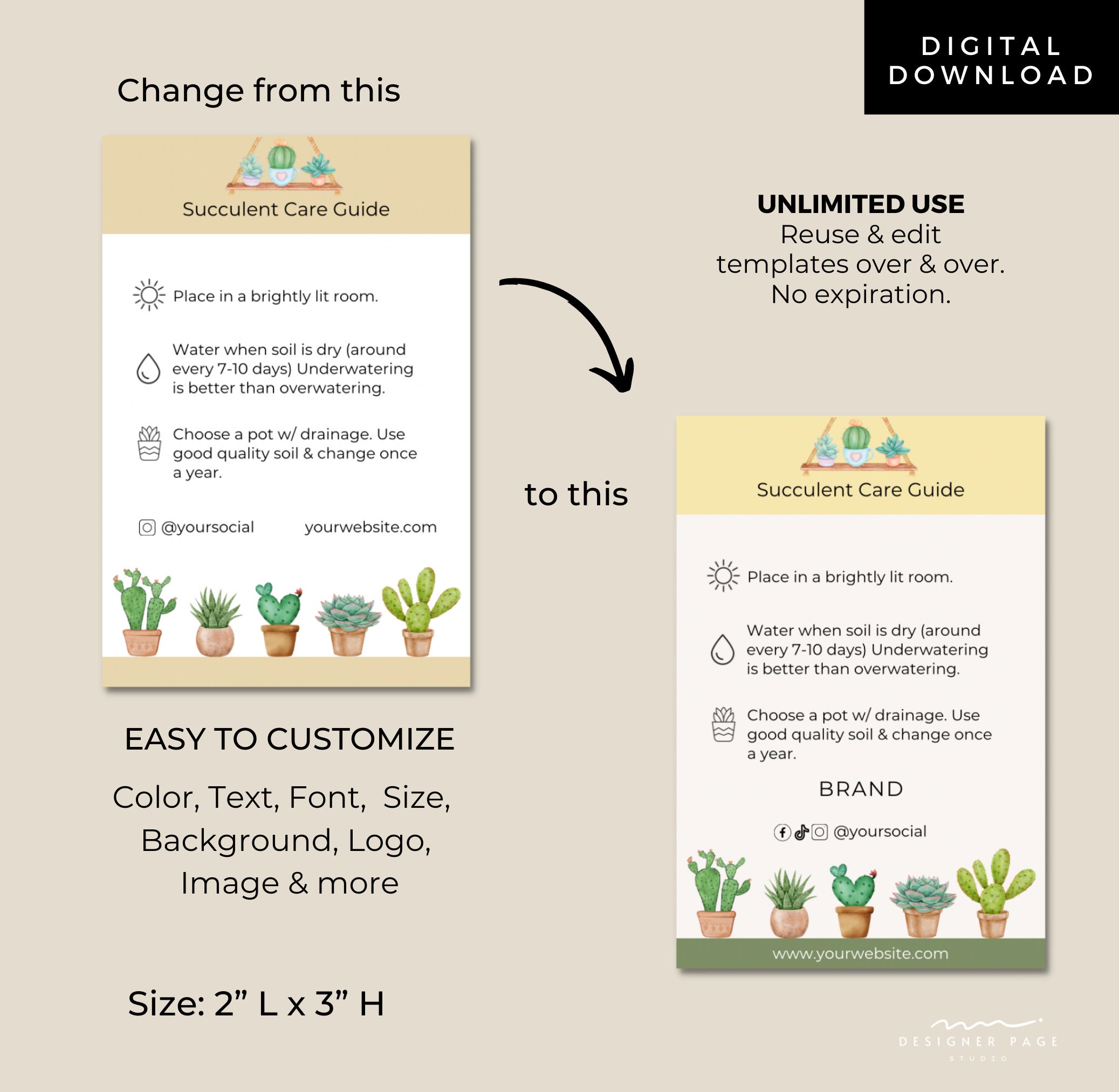 Editable Succulent Care Guide Template, Plant Care Cards Tag Printable ...