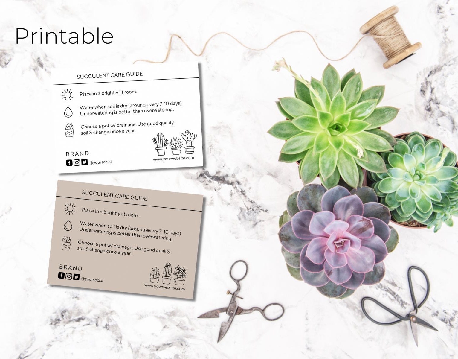Editable Succulent Care Guide Template Canva, Printable Plants Care ...