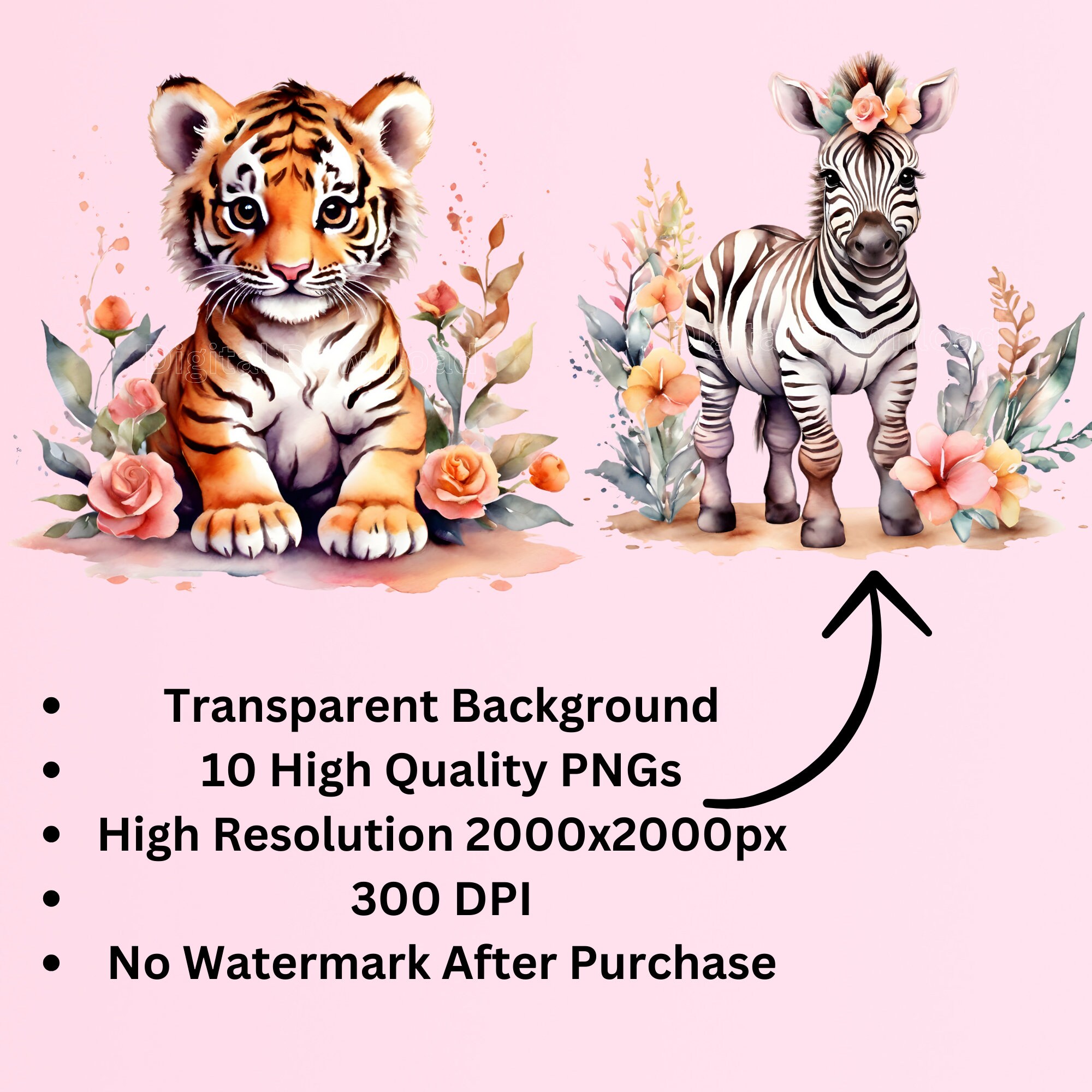 Cute Jungle Animals Clipart, Safari Baby Animal Png, Jungle Safari Png ...