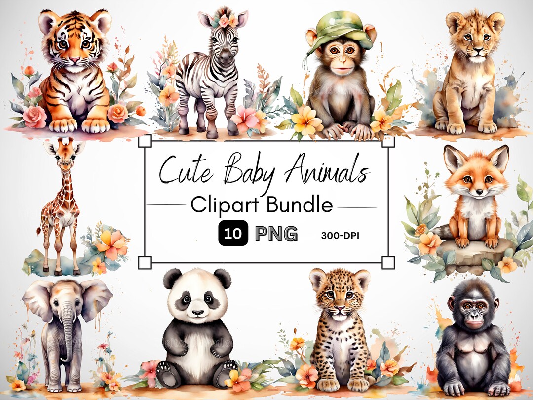 Cute Jungle Animals Clipart, Safari Baby Animal Png, Jungle Safari Png ...