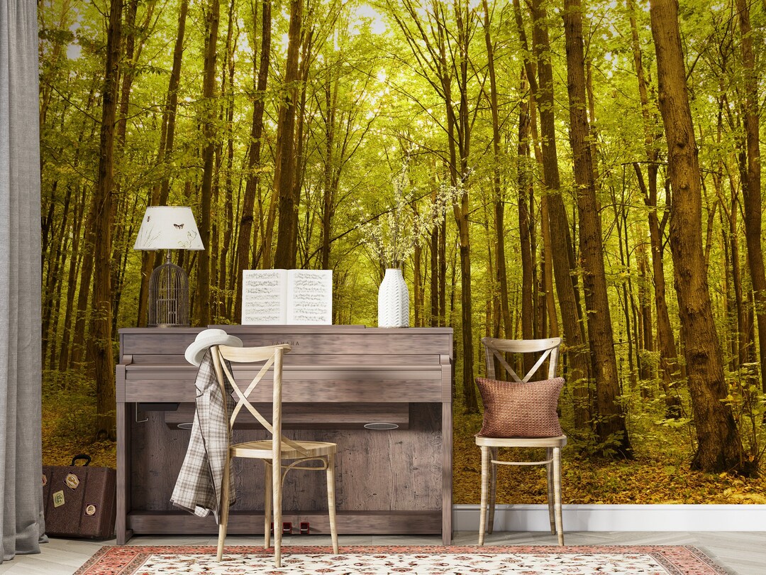 Peel and Stick Autumn Forest Wallpaper, Landscape Wallpaper, Removable ...