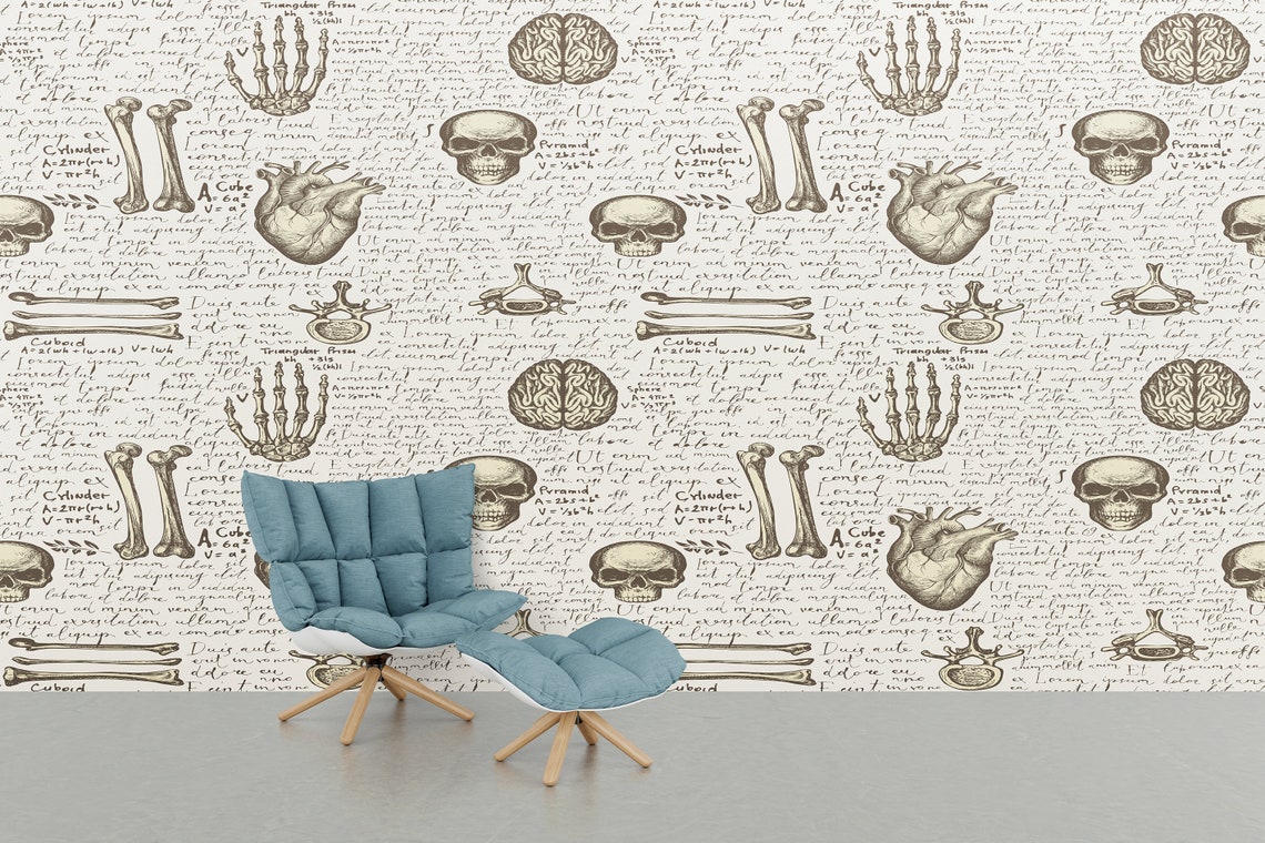 Peel and Stick Hand Drawn Human Skulls, Bones, Joints & Organs ...