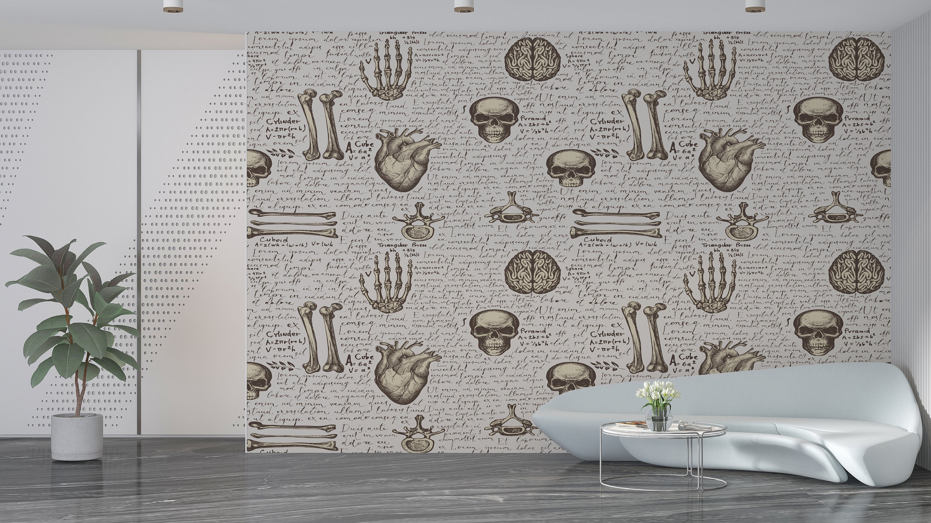 Peel and Stick Hand Drawn Human Skulls, Bones, Joints & Organs ...