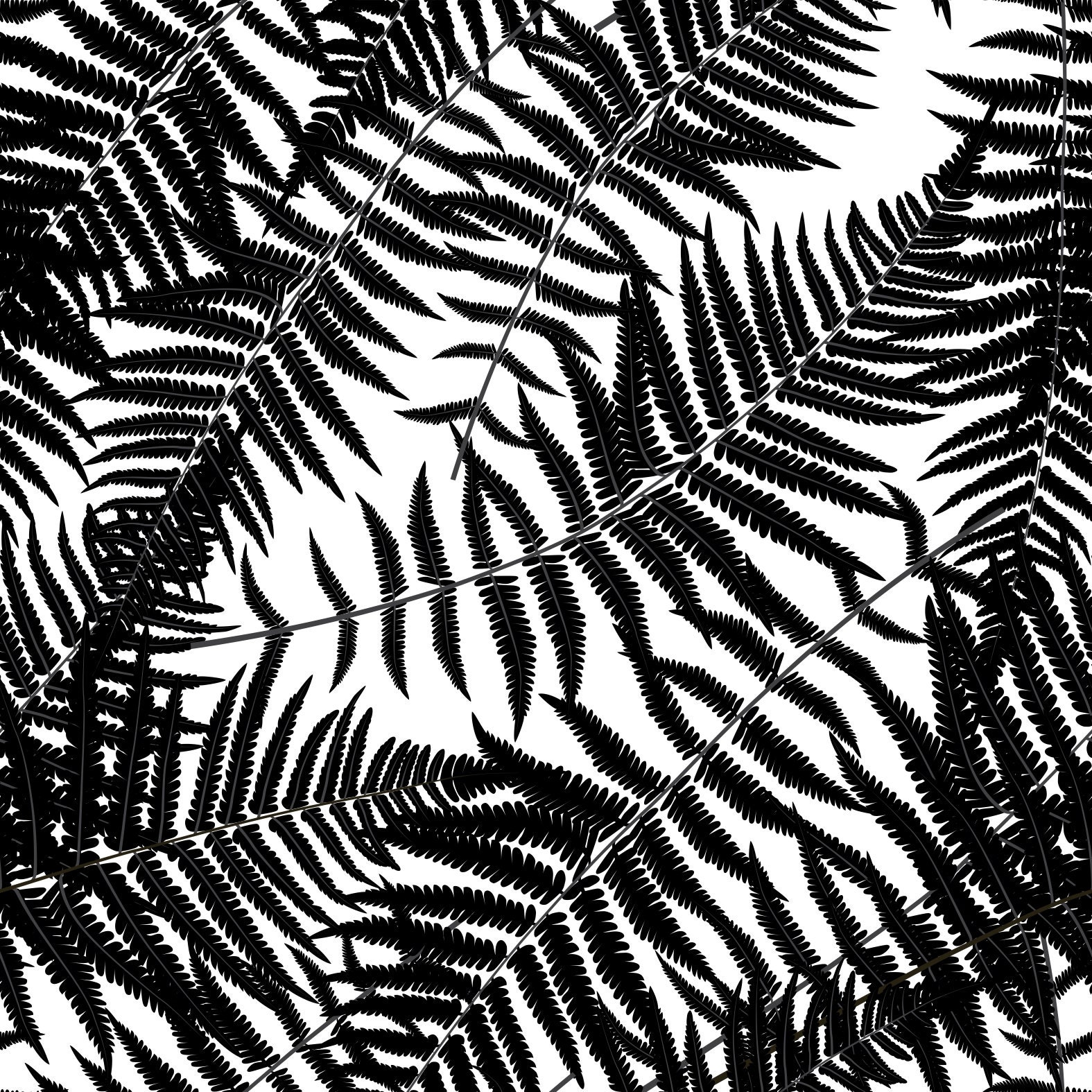 Fern Leaf Botanical Wallpaper, Black White Peel Stick Wall Mural - Etsy