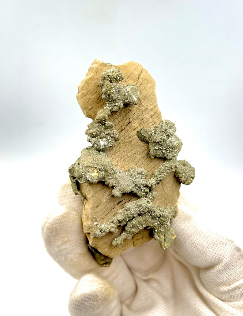Natural Golden Pyrite Cluster, Pakistan Mineral Specimen (2.8x2.1x1.1 ...