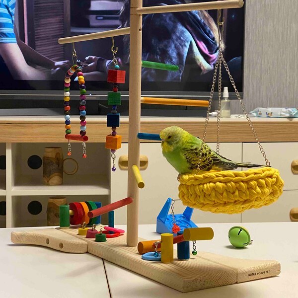 Bird Play Gym - Etsy