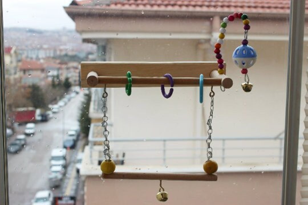 Window Bird Perch Budgie Toys Parrot Playground Wooden Bird - Etsy
