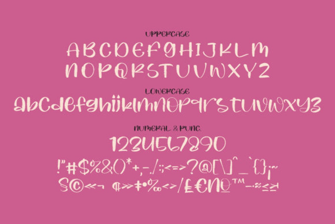 Pacifica Font Beautiful Font Cricut Font Script Font - Etsy