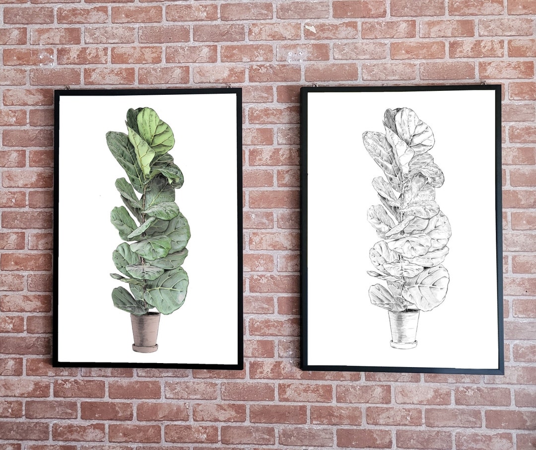 Printable Art, Pencil Sketched Fiddle Leaf Fig, B&W and Color - Etsy
