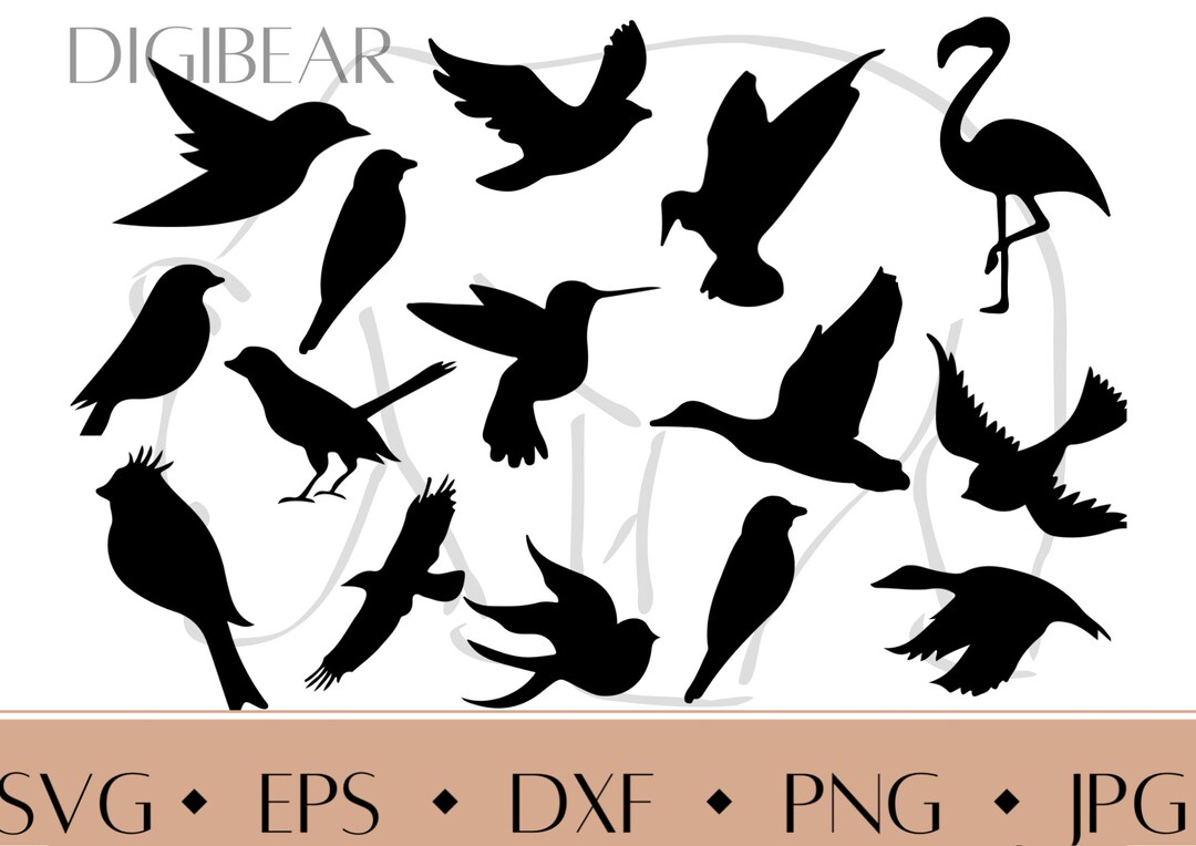 Bird Silhouttes, Bird Clipart, Bird Svg, 15 Bird Clip Art, Bird Bunch ...