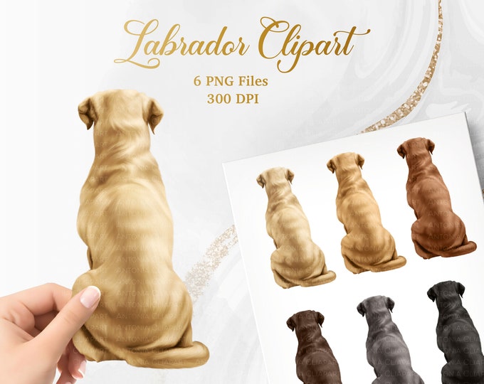 Labrador Clipart, Labrador Retriever Clip Art, Back View Dog Breeds PNG ...
