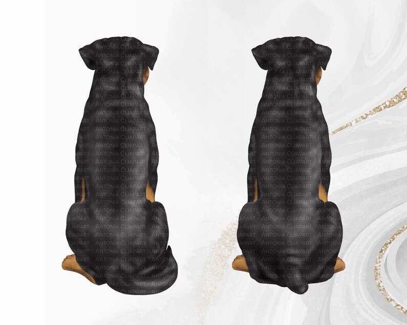 Rottweiler Clipart PNG, Dog Breed Clip Art, Customizable Rottie Clipart ...