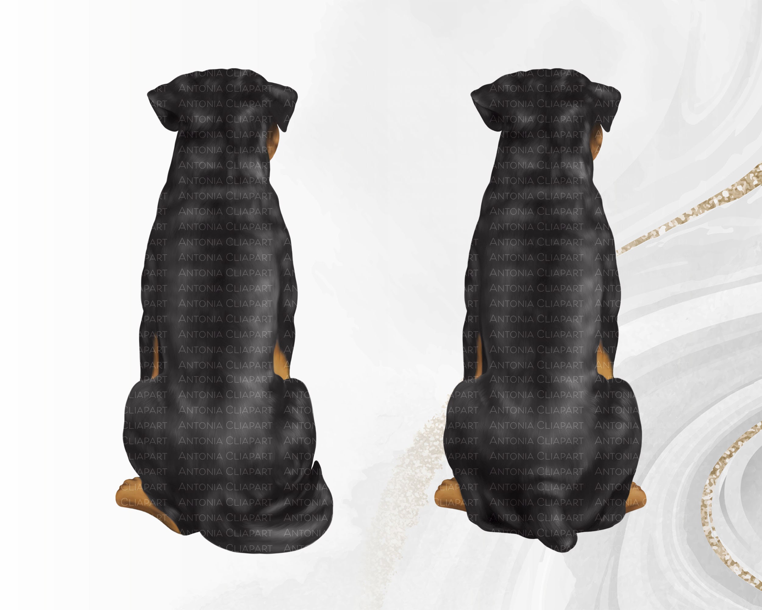 Rottweiler Clipart PNG, Dog Breed Clip Art, Customizable Rottie Clipart ...