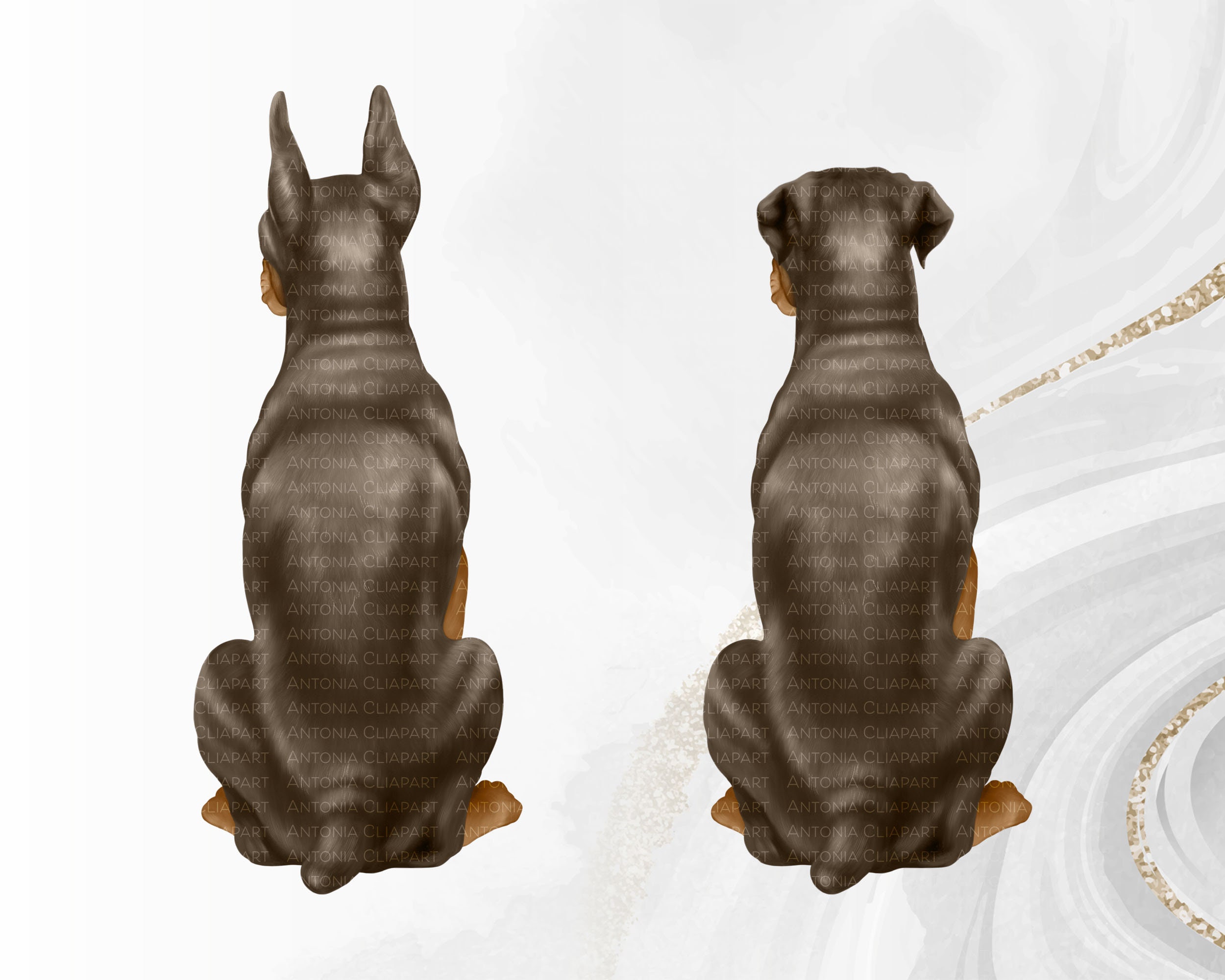 Doberman Clipart, Doberman Pinscher Clip Art, Dog Breeds PNG, Back View ...
