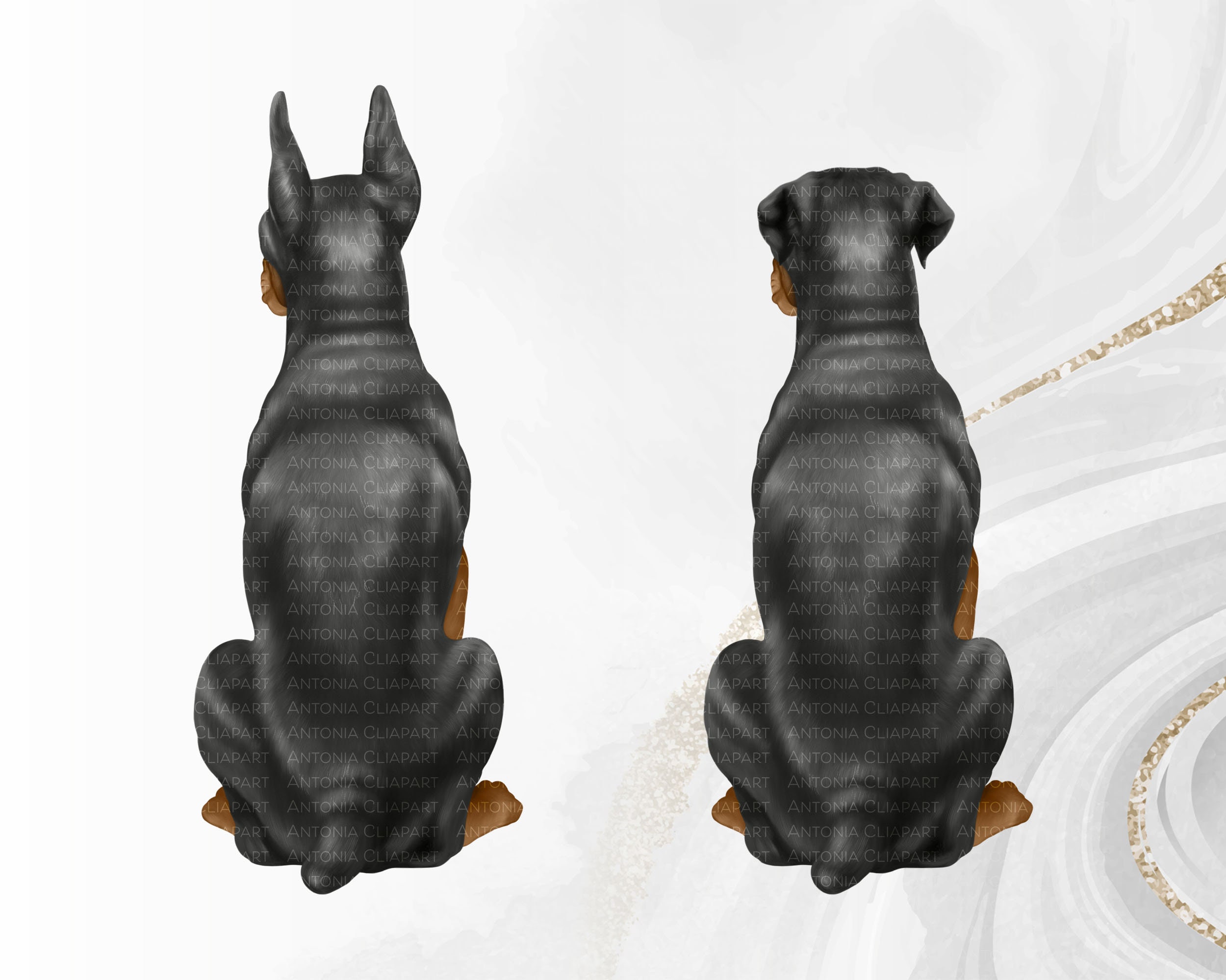 Doberman Clipart, Doberman Pinscher Clip Art, Dog Breeds PNG, Back View ...