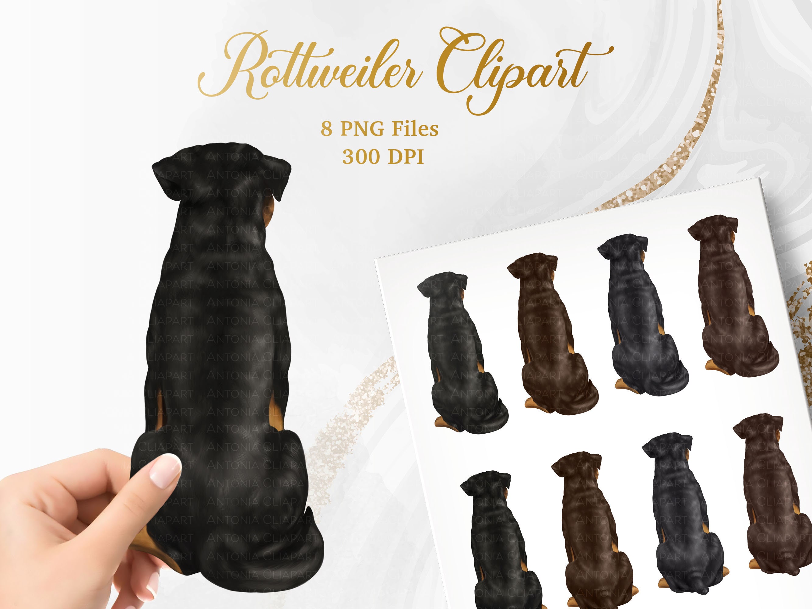 Rottweiler Clipart PNG, Dog Breed Clip Art, Customizable Rottie Clipart ...