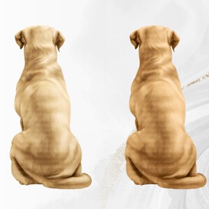 Labrador Clipart, Labrador Retriever Clip Art, Back View Dog Breeds PNG ...