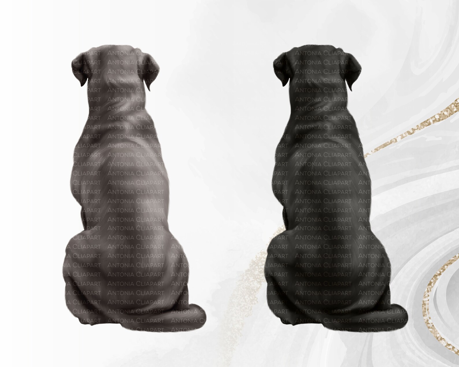 Labrador Clipart, Labrador Retriever Clip Art, Back View Dog Breeds PNG ...