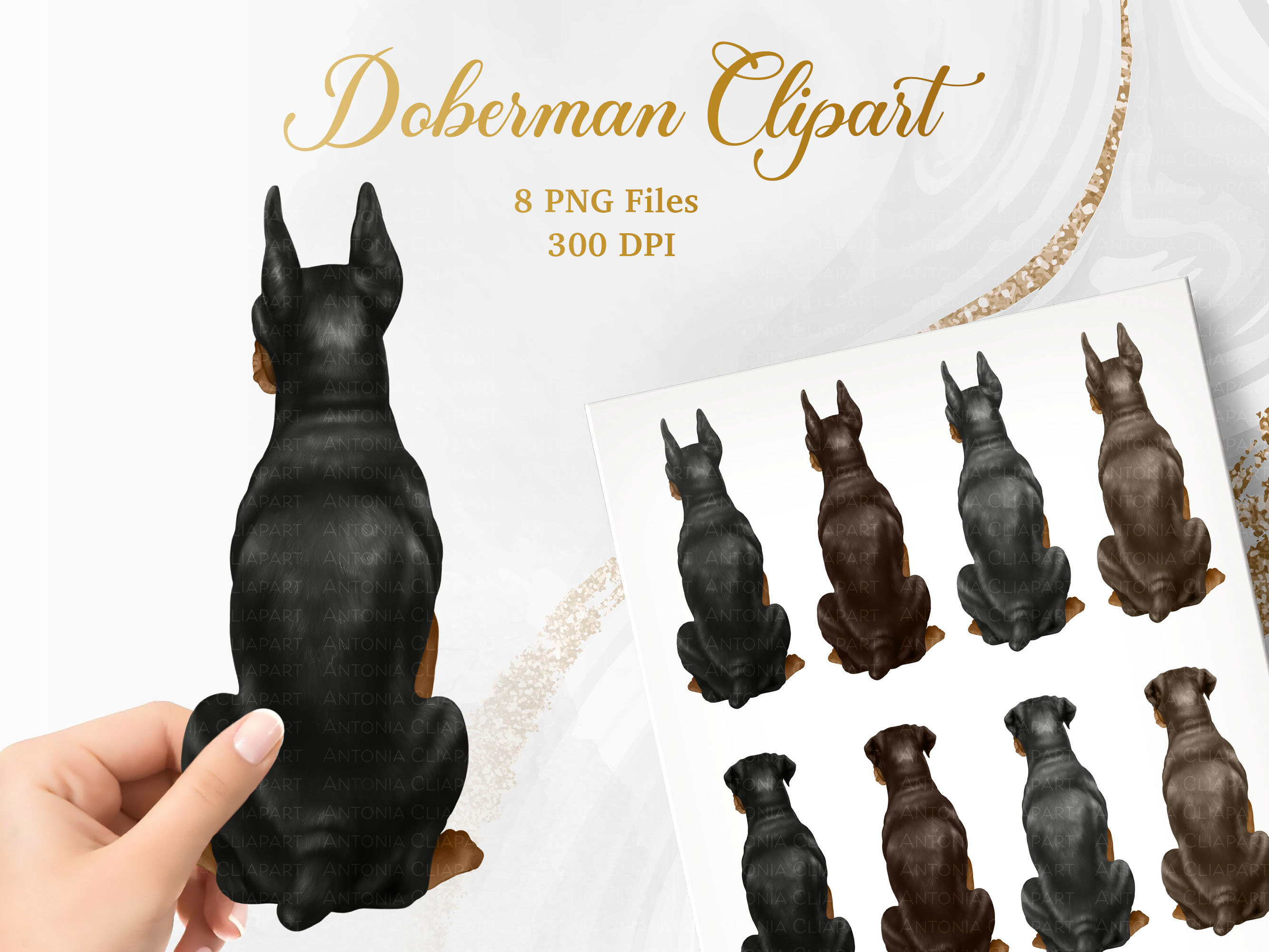 Doberman Clipart, Doberman Pinscher Clip Art, Dog Breeds PNG, Back View ...